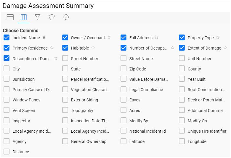 Damage Assessment Summary