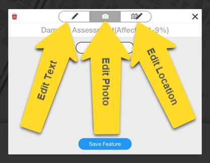 Editing in the Field Tool